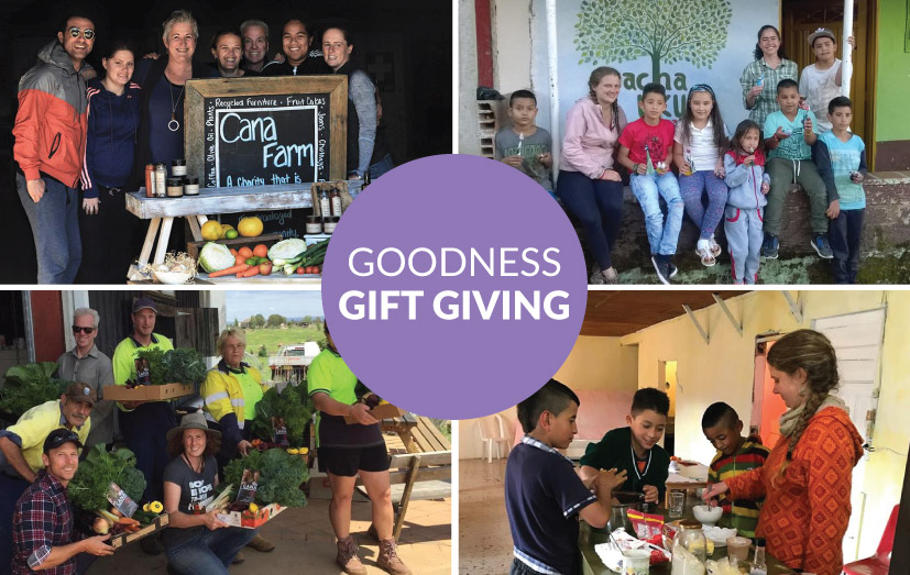 Goodness Gift Giving | Christmas Charity Donation - Honest to Goodness