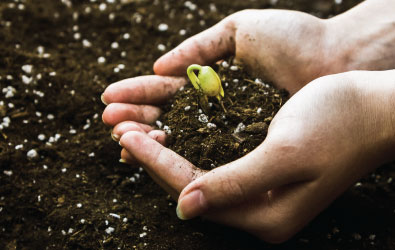 Biodynamic Agriculture - Honest to Goodness