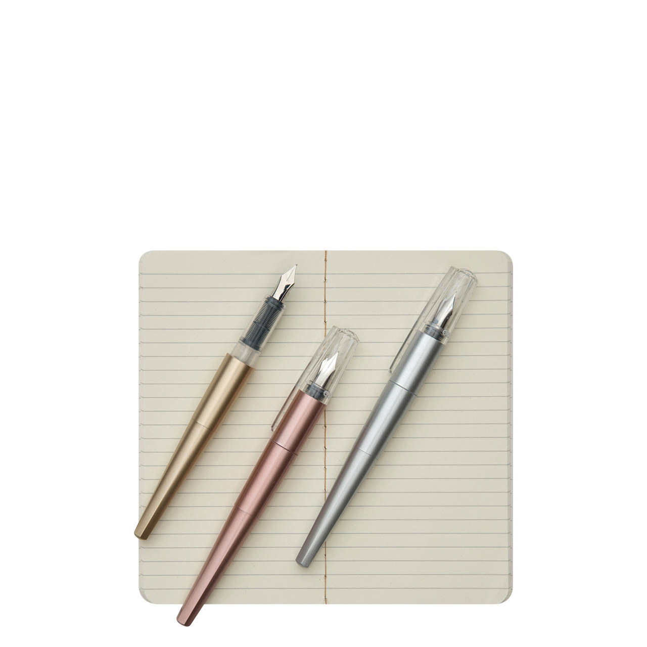 Modern Script Fountain Pens and Journal - Franklin Planner