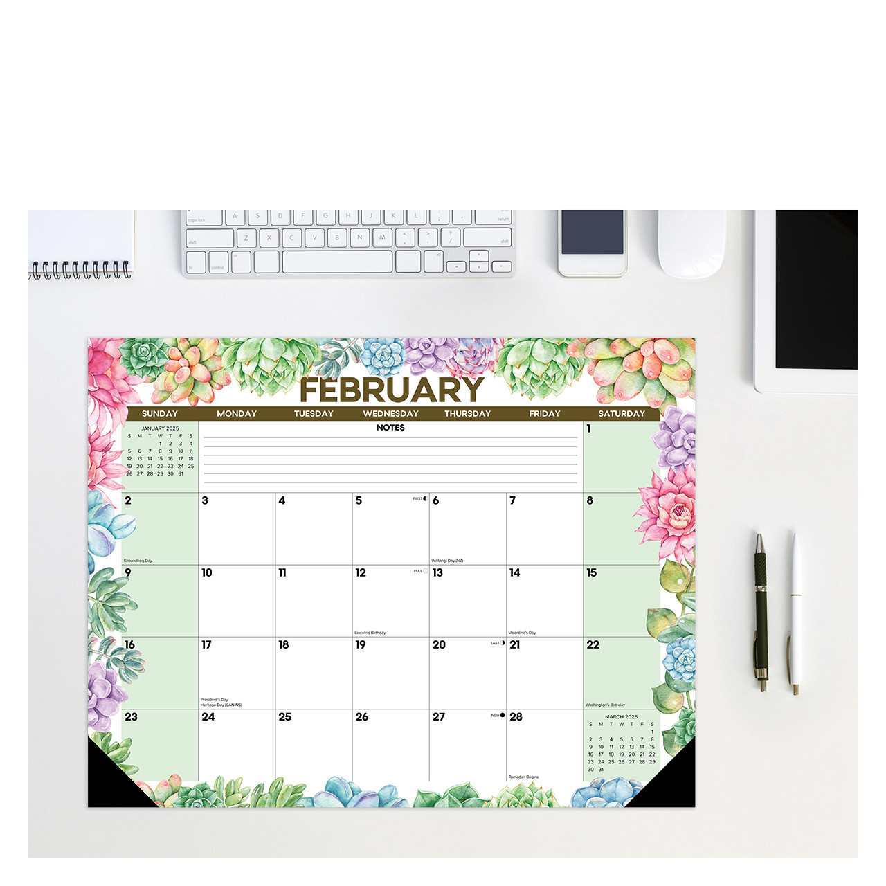 Succulents 2025 22 X 17 Large Monthly Deskpad
