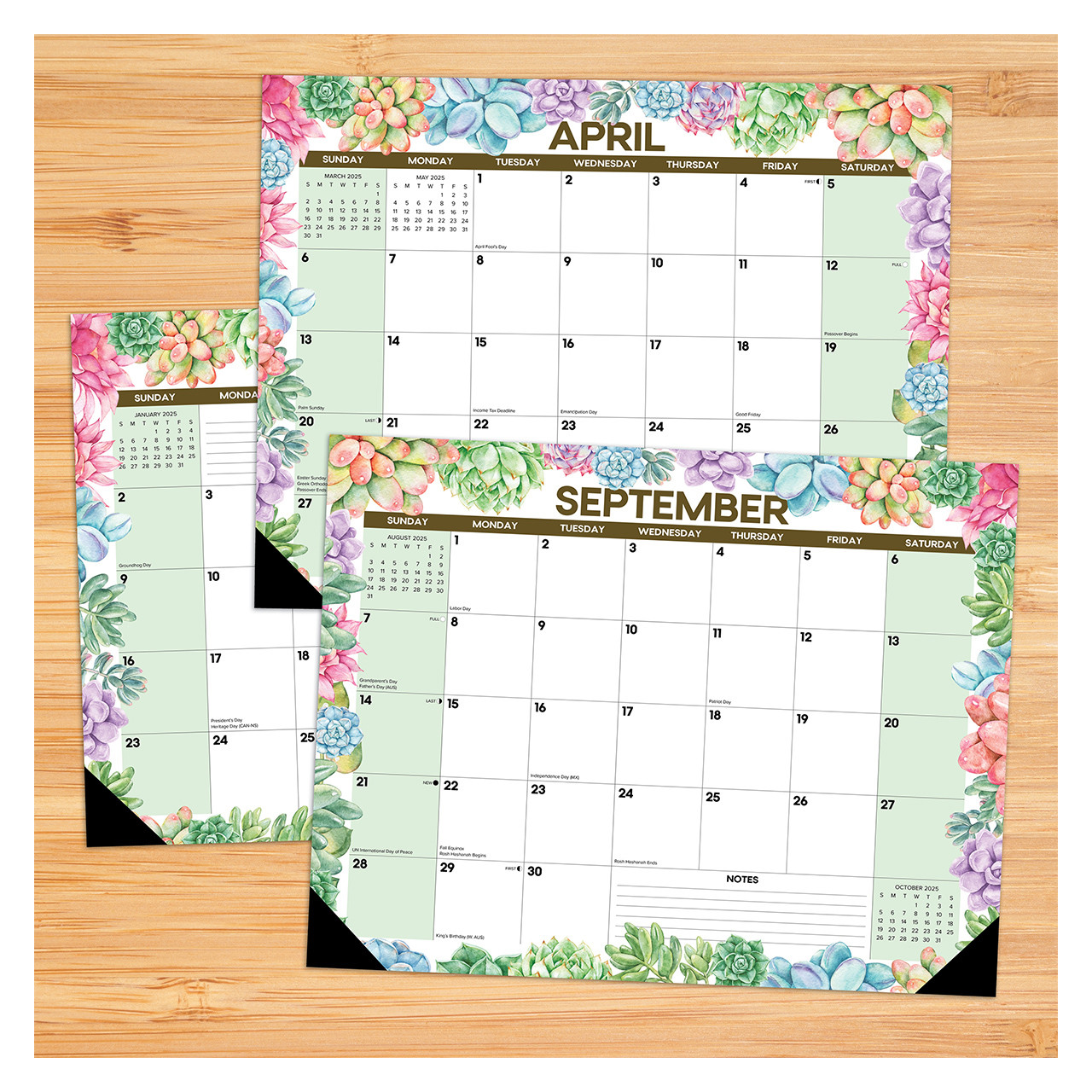 Succulents 2025 22 X 17 Large Monthly Deskpad