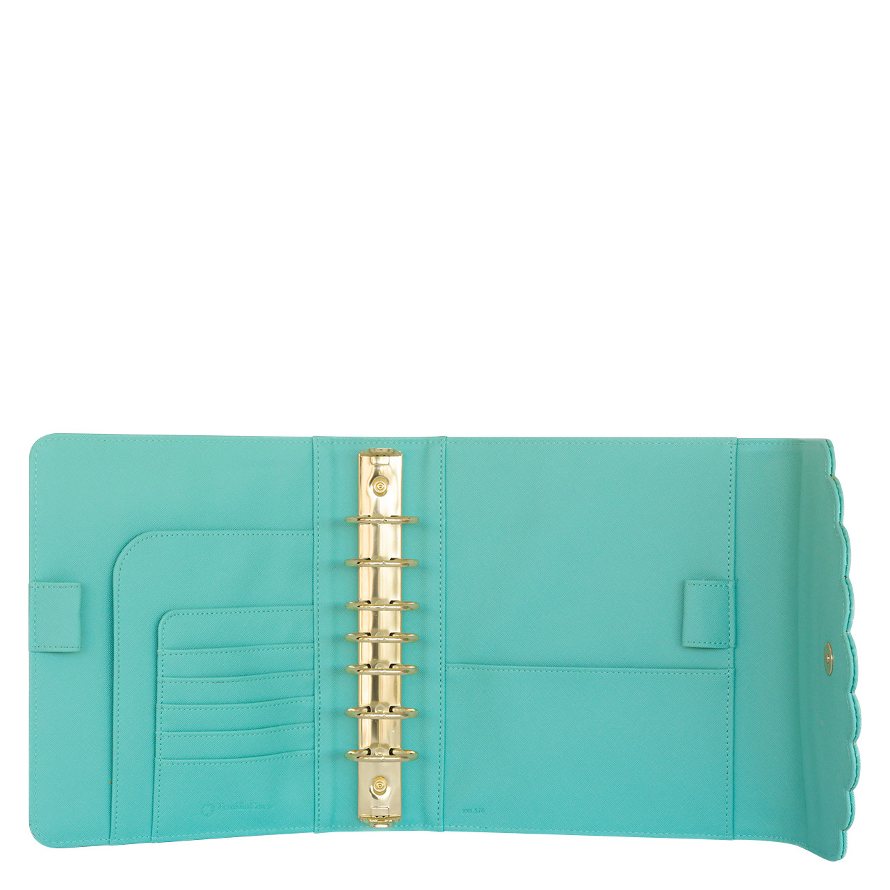 Luisa Simulated Leather Snap Binder