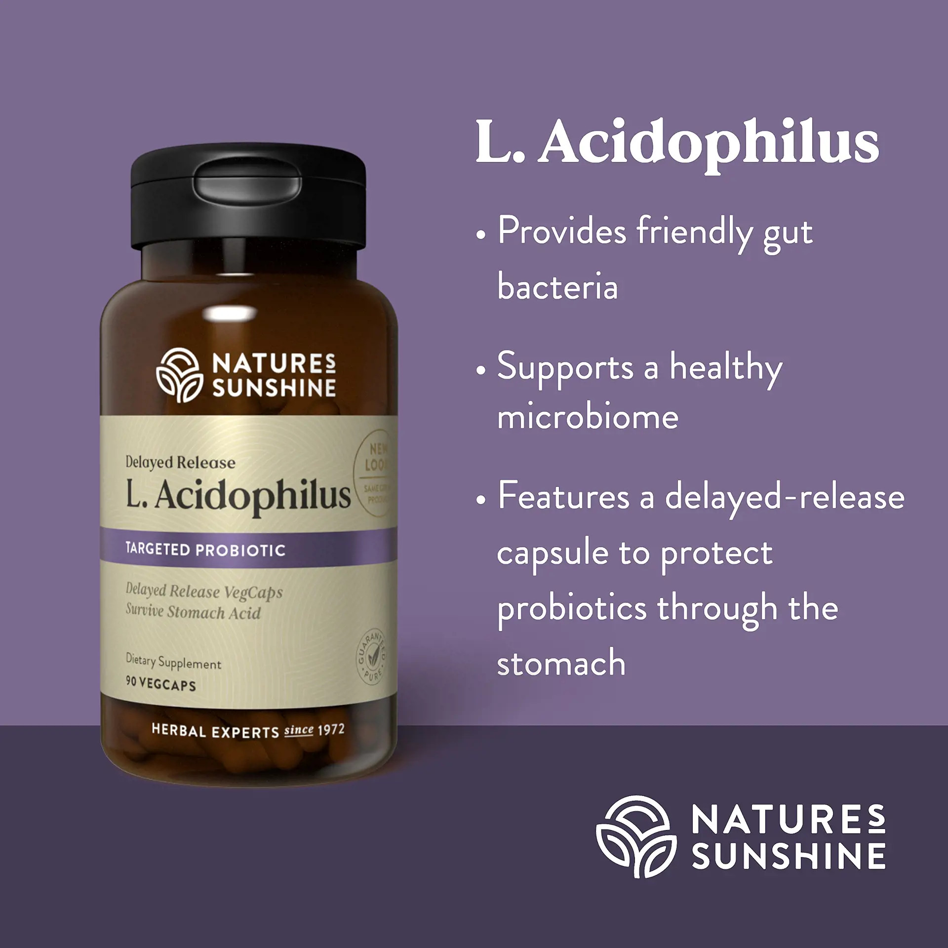 Healthy Sunshine: A-Z complete list of Nature's Sunshine products