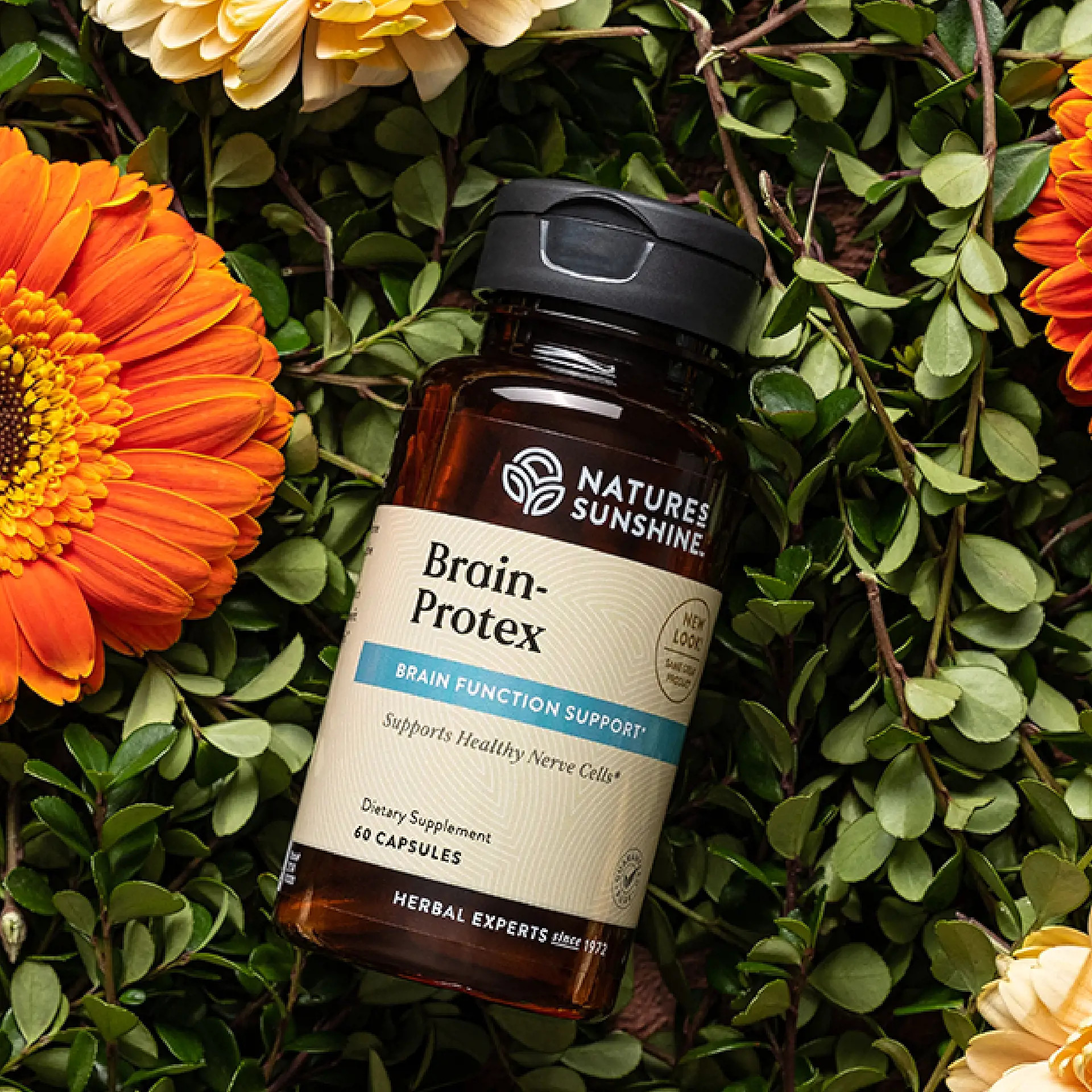 Nature's Sunshine Brain Protex with Huperzine | 50 years experience