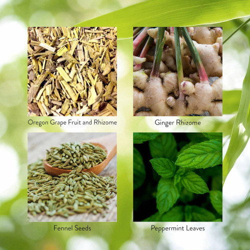 Nature's Sunshine Gall Bladder Formula | Fat digestive aid | Recommended