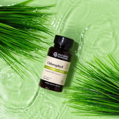 Nature's Sunshine Chlorophyll Capsules | Save 25-30%