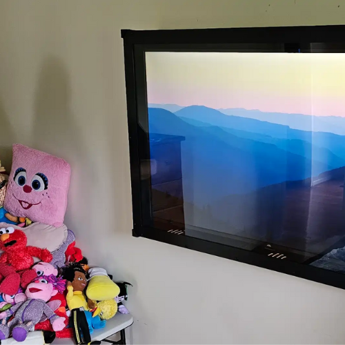 Television Screen Heavy Duty Enclosure - 55 Inch