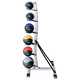 42 LB Medicine Ball Set with Rack - WF Athletic Supply