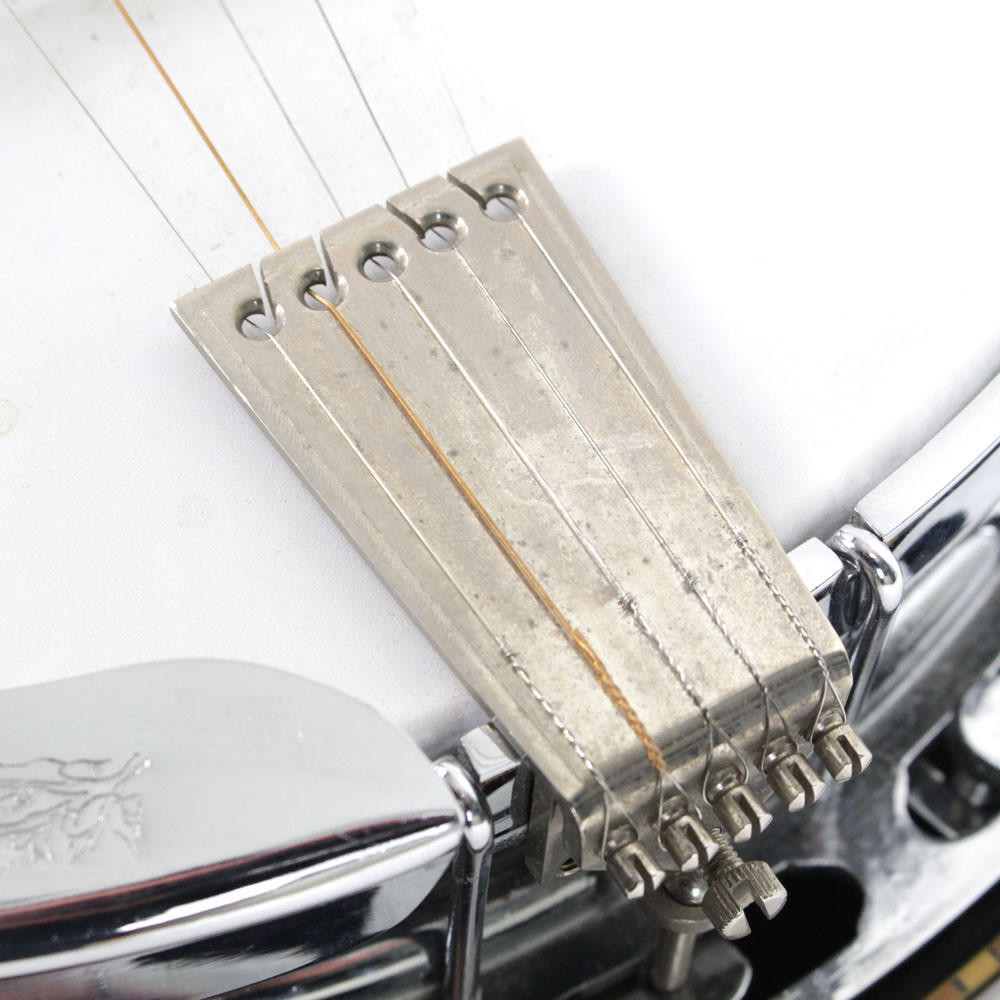 Vintage Alvarez Denver Belle 5-String Banjo | Cream City Music