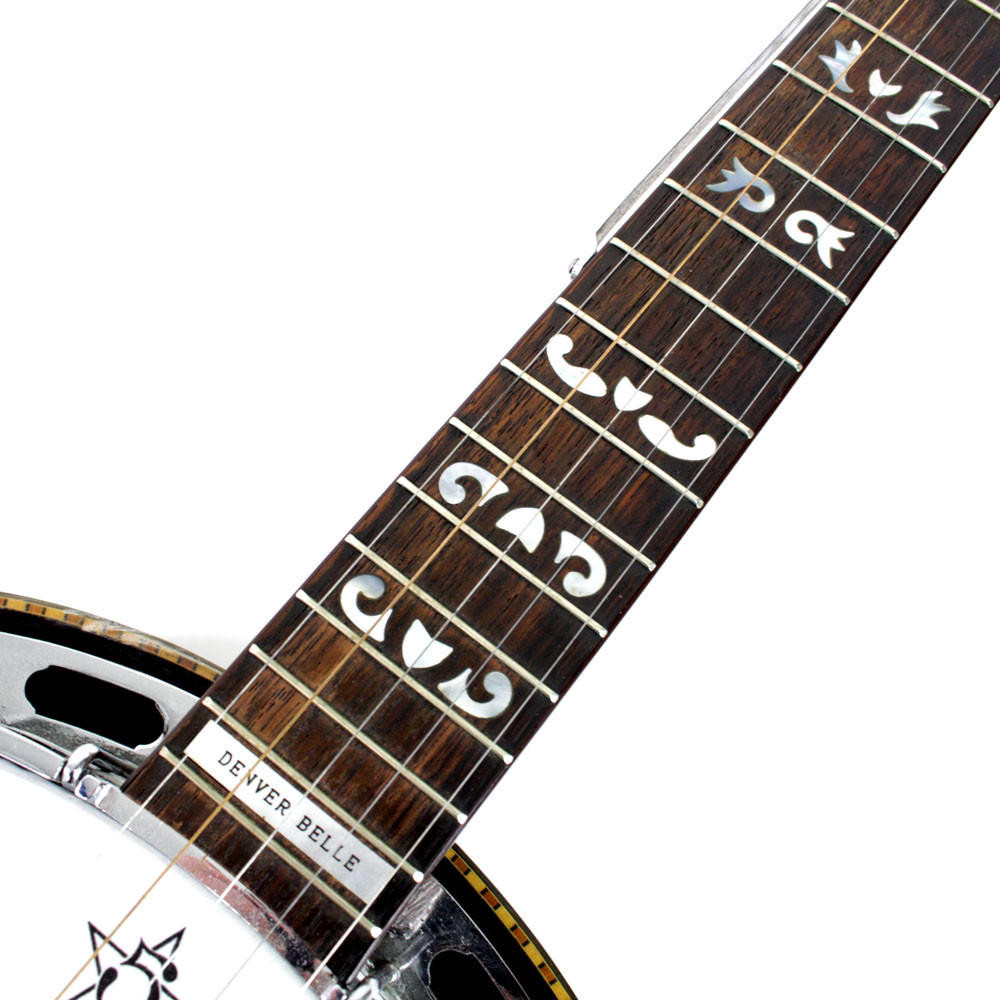 Vintage Alvarez Denver Belle 5-String Banjo | Cream City Music