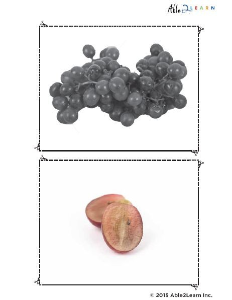 Food Flashcards For ABLLS-R and VB-Mapp: Free Flashcards