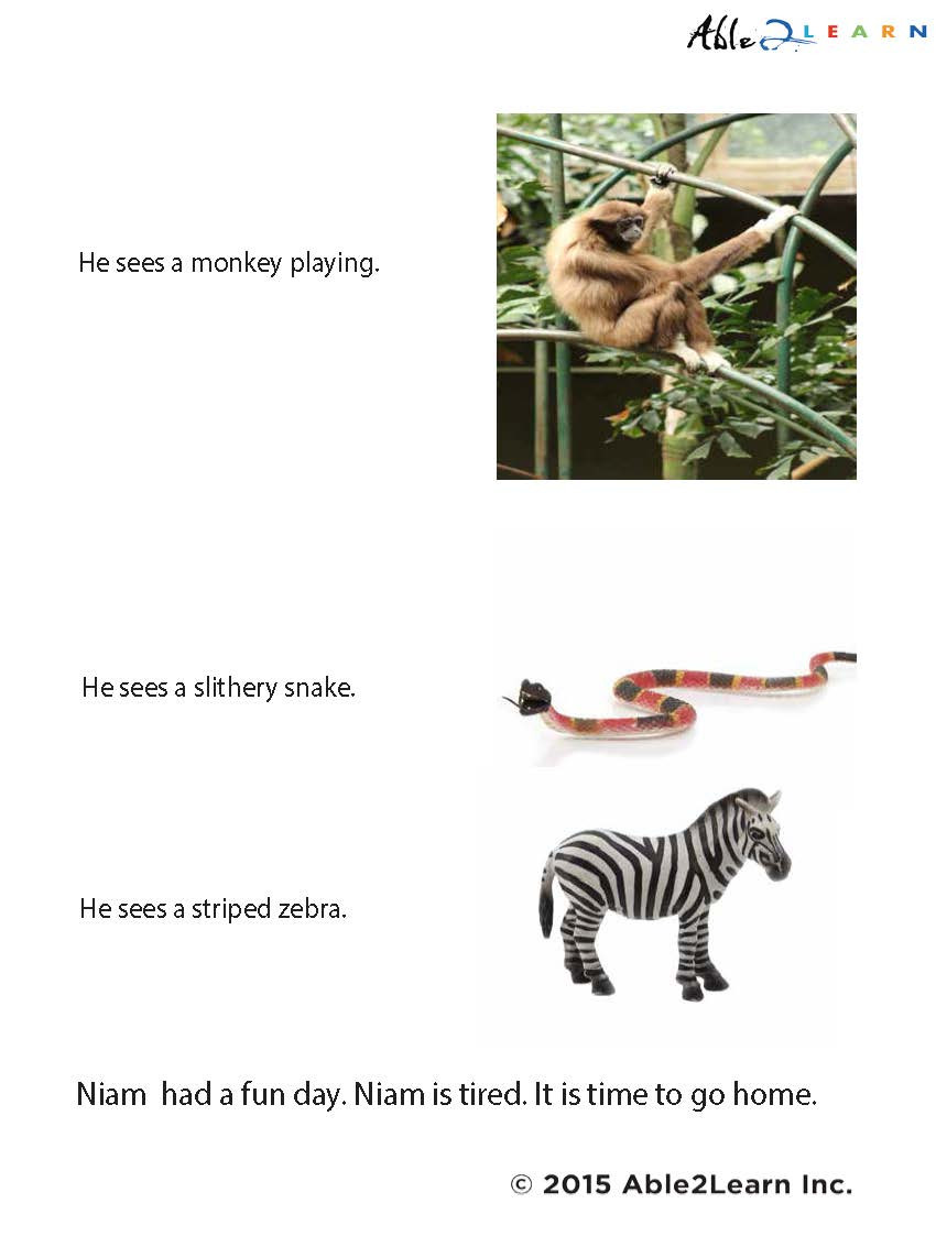 Free Speech Development Going To The Zoo Social Story