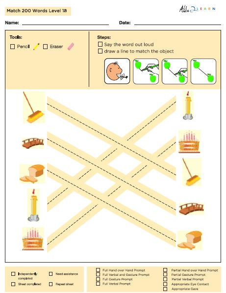 Identical Picture Matching Program with ABLLS-R™ Words (Lv. 1 ...
