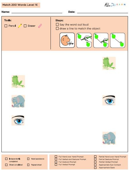 Identical Picture Matching Program with ABLLS-R™ Words (Lv. 3 ...