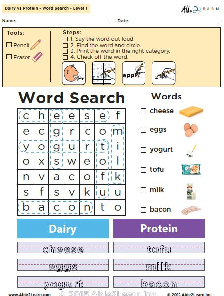 Dairy vs. Protein: The Food Groups