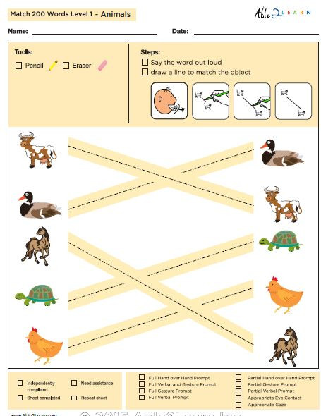 Animals Identical Picture Matching Program with ABLLS-R™ Words (Lv. 1 ...