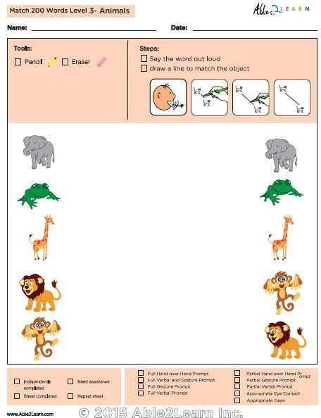 Animal Identical Picture Matching Program with ABLLS-R™ Words (Lv. 3 ...
