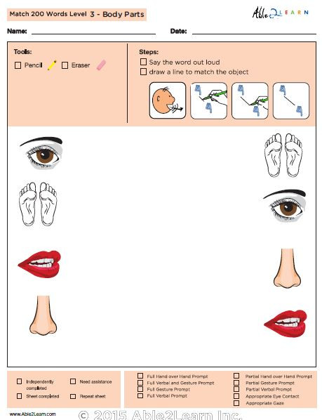 Body Parts Identical Picture Matching Program with ABLLS-R™ Words (Lv ...