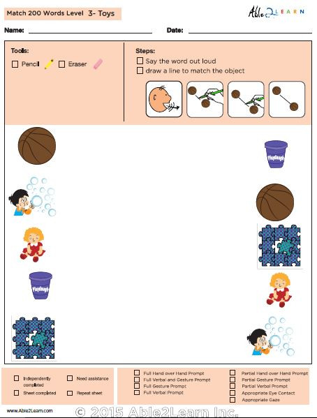 Toys Identical Picture Matching Program with ABLLS-R™ Words (Lv. 3 ...