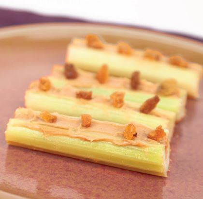 Ants on a Log Visual Recipe & Comprehension Sheets: 19 Pages ...