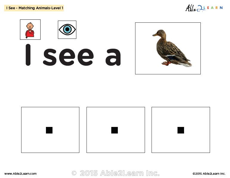 I See Adapted Book: Animals: Free Teaching Resource