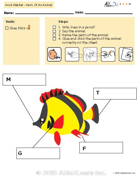 Learn Habitats: All About Ponds: Science