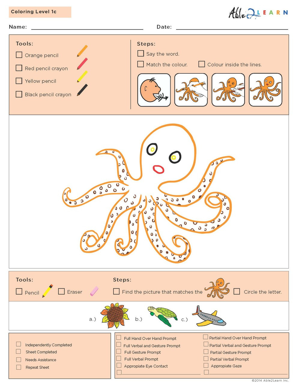 Guided Colouring Program: 8 Pages: Free Teaching Resources