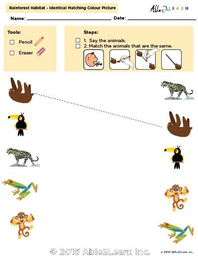 Learn Habitats: All About Rainforest: Science