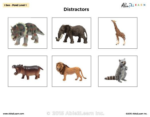 I See Adapted Book: Pond Animals: Science: Free Teaching Resource