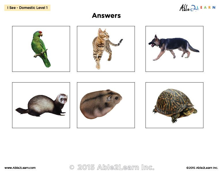I SEE Domestic Animals Habitat: 3 Levels: Matching, Guided Printing ...