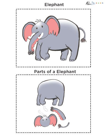 Learning Parts Of A Object Flashcards: Free Teaching Resource