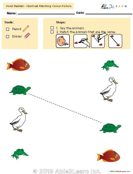 Learn Habitats: All About Ponds: Science