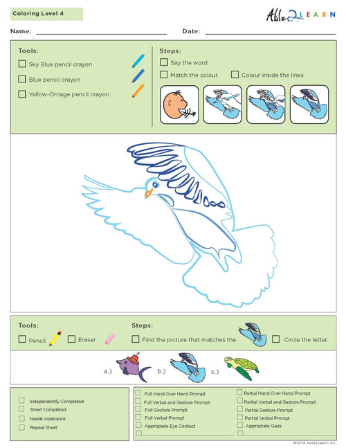 Guided Colouring Program: 8 Pages: Free Teaching Resources