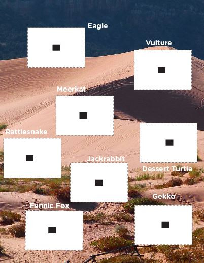 Learn Habitats: All About Desert: Science