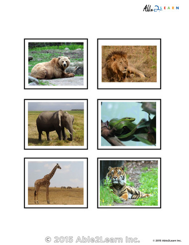 Free Sort By Class Program