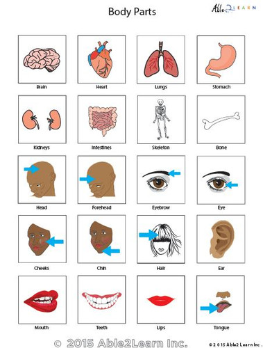 PECS - Body Parts - Able2learn Inc.