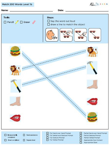 Identical Picture Matching Program with ABLLS-R™ Words (Lv. 2 ...