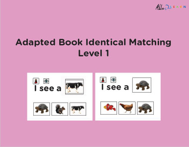 I See Adapted Book: Animals: Free Teaching Resource