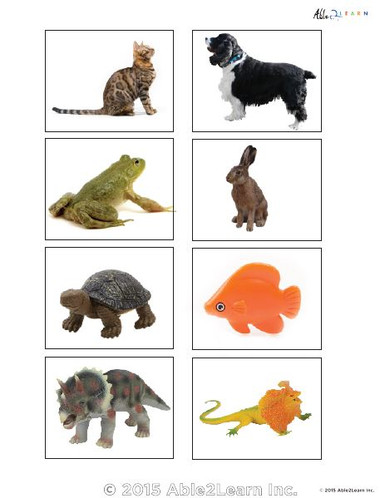 Matching Real Pictures - Level 3: Free Teaching Resources