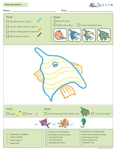 Guided Colouring Program: 8 Pages: Free Teaching Resources