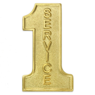 Service Star Lapel Pin | PinMart