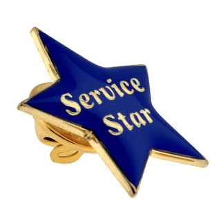 Service Star Pin - Blue and Gold | PinMart