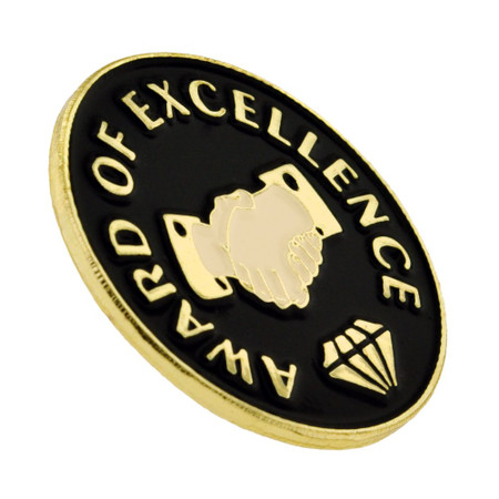 Award of Excellence Pin | PinMart