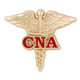 CNA Caduceus Lapel Pin | PinMart