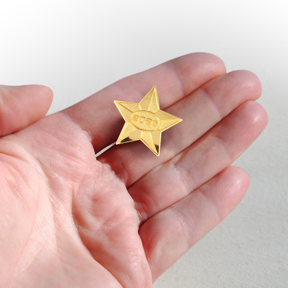 2026 Gold Star Pin | PinMart