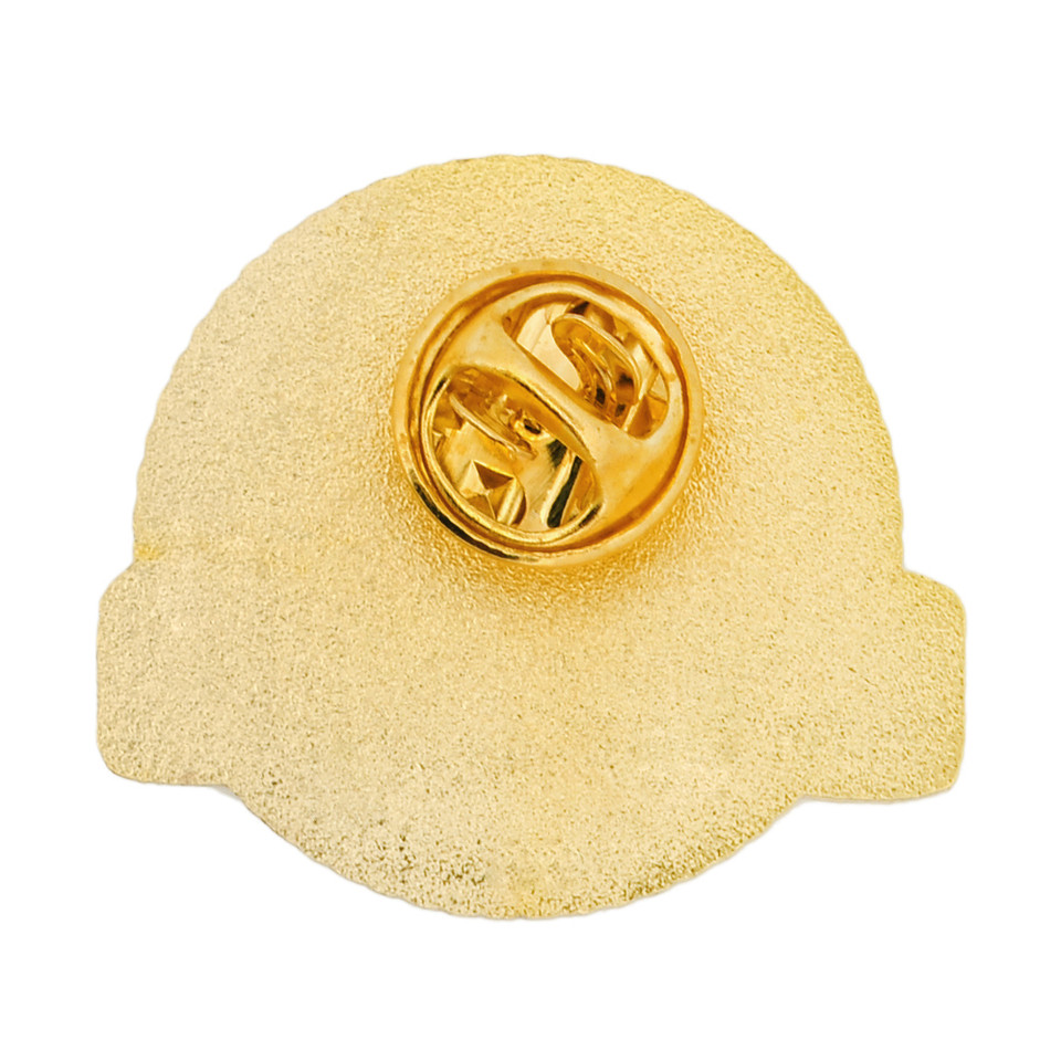 Officially Licensed U.S.M.C. 250 Year Pin | PinMart