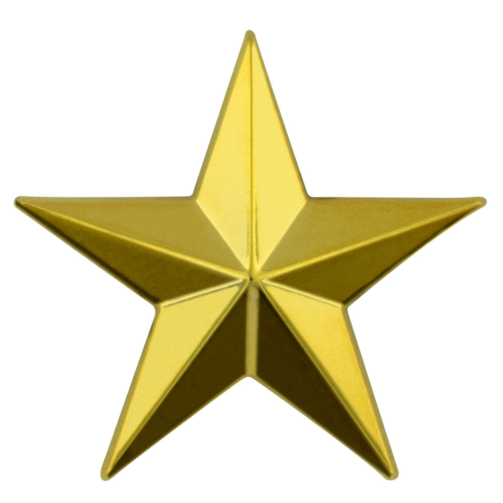 3D Star Pin - Gold | PinMart