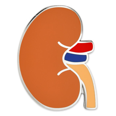 Human Kidney Pin | PinMart