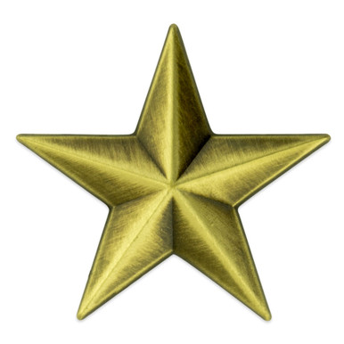 3D Star Pin - Bronze | PinMart