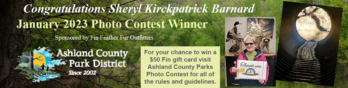 Fin Feather Fur Outfitters